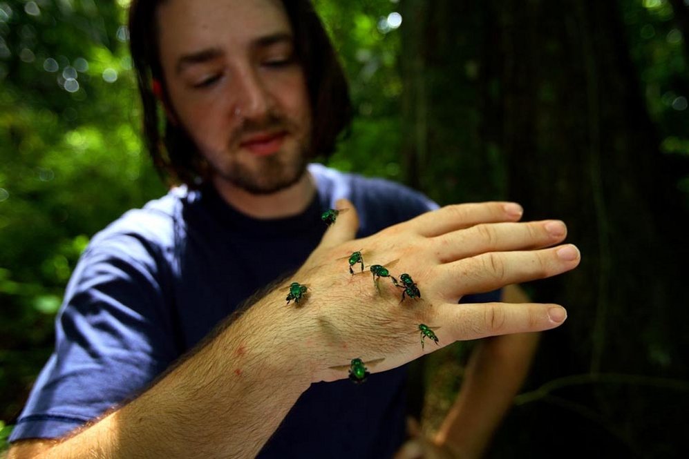 Smithsonian Insider – alex_with_bees0416 | Smithsonian Insider