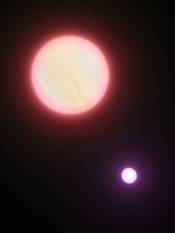 Smithsonian Insider – New candidate for “coldest star” is same ...