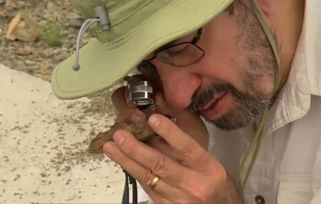 Smithsonian Insider – Conrad[1] | Smithsonian Insider