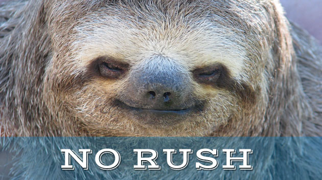 Smithsonian Insider – norushsloth | Smithsonian Insider