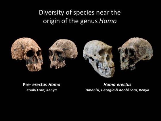 Smithsonian Insider – Human Evolution Rewritten: We owe our existence ...