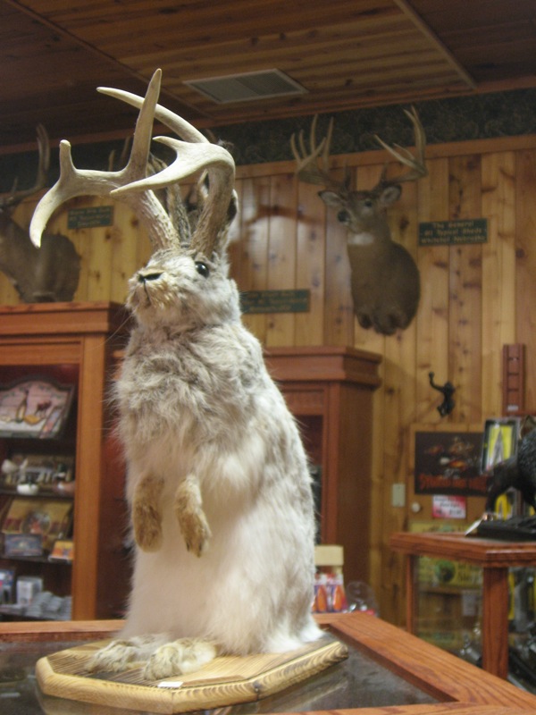 Smithsonian Insider – Jackalope – Max | Smithsonian Insider Smithsonian Insider – Jackalope – Max | Smithsonian Insider