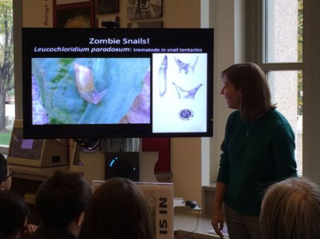 Smithsonian Insider – Anna Phillips | Smithsonian Insider