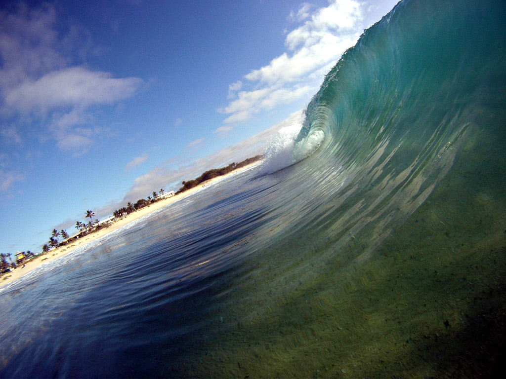 Smithsonian Insider – Gasping for air: nutrients, warming trigger ocean ...