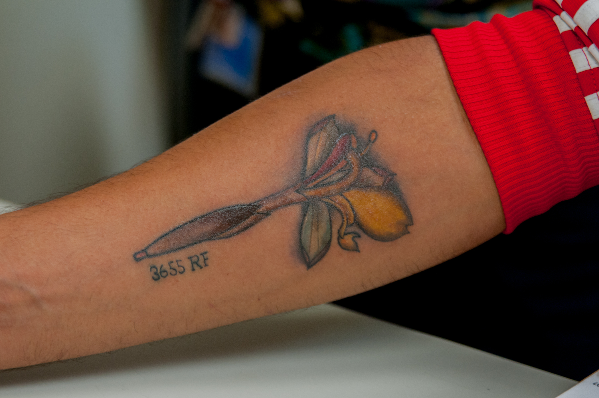 Smithsonian Insider – Carmen_Galdames_Rodolfo_Flores-1 | Smithsonian ...