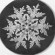 Smithsonian Insider – Snowflake Study through Photomicrography, 1890 ...